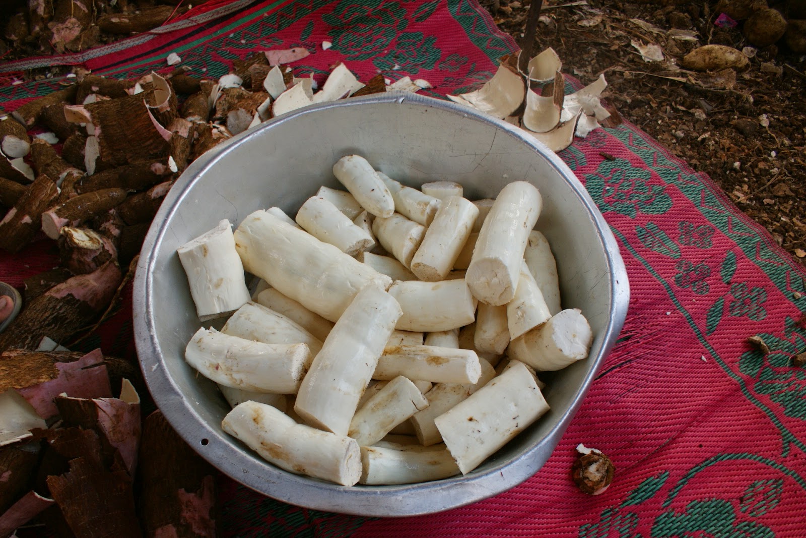 My visit to Tonga: Week 2 in Tonga Monday 15th - Sunday 21st of September.