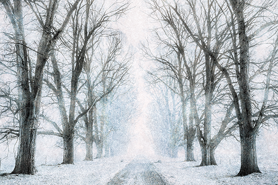 The CoffeeShop Blog: CoffeeShop "Icy" Fine Art Texture/Overlay Set!