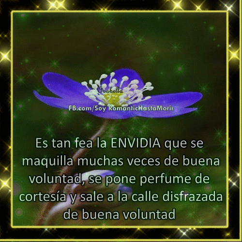 FRASES Y GIFS: Es tan fea la ENVIDiA