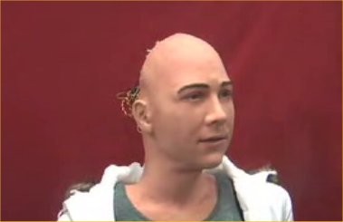 The Babbling Brooke: Artificial Intelligence - The Science of Jules