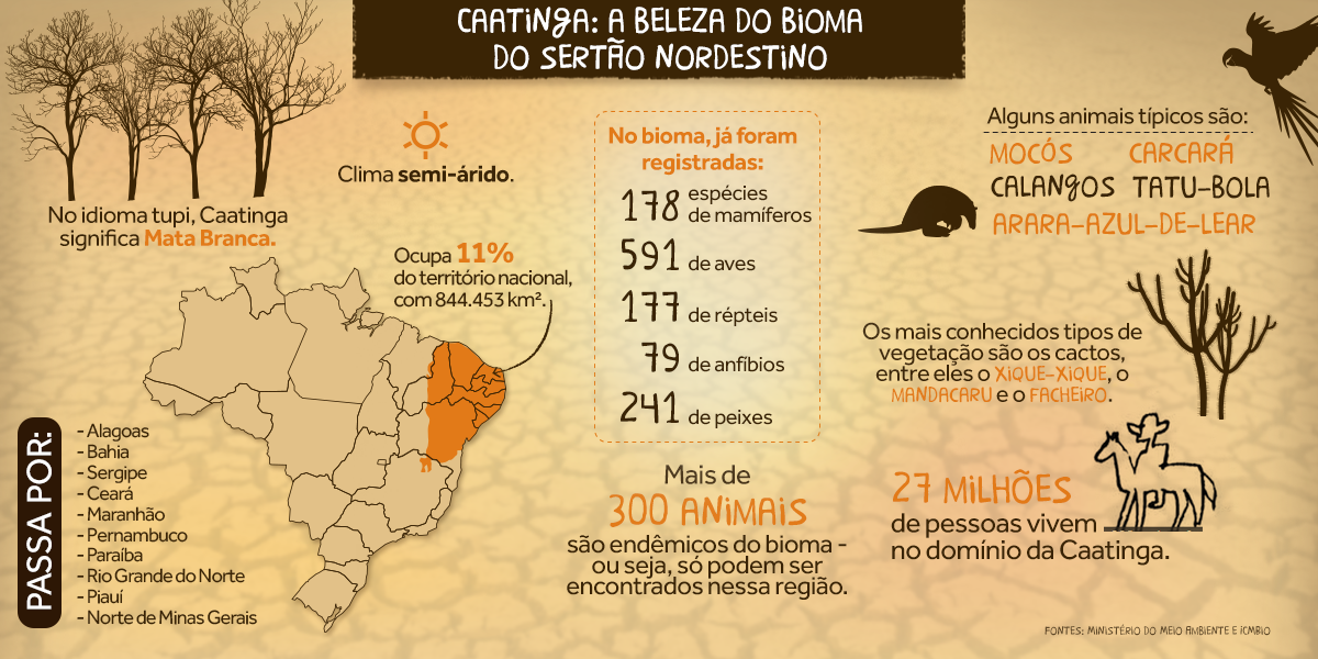 Bate Papo Sobre Meio Ambiente e Ideias Sustentáveis : Caatinga - Único ...