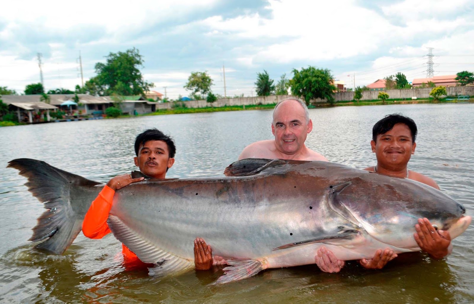 August 2015 Fish of the Month Entry - Giant Mekong!