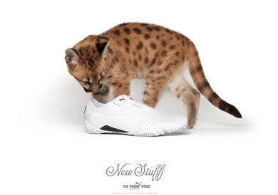 Ad Plus Communications: Creative Puma Shoe Ads
