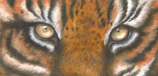 White Wolf : Beverly Basham : Wonderful Wildlife artist