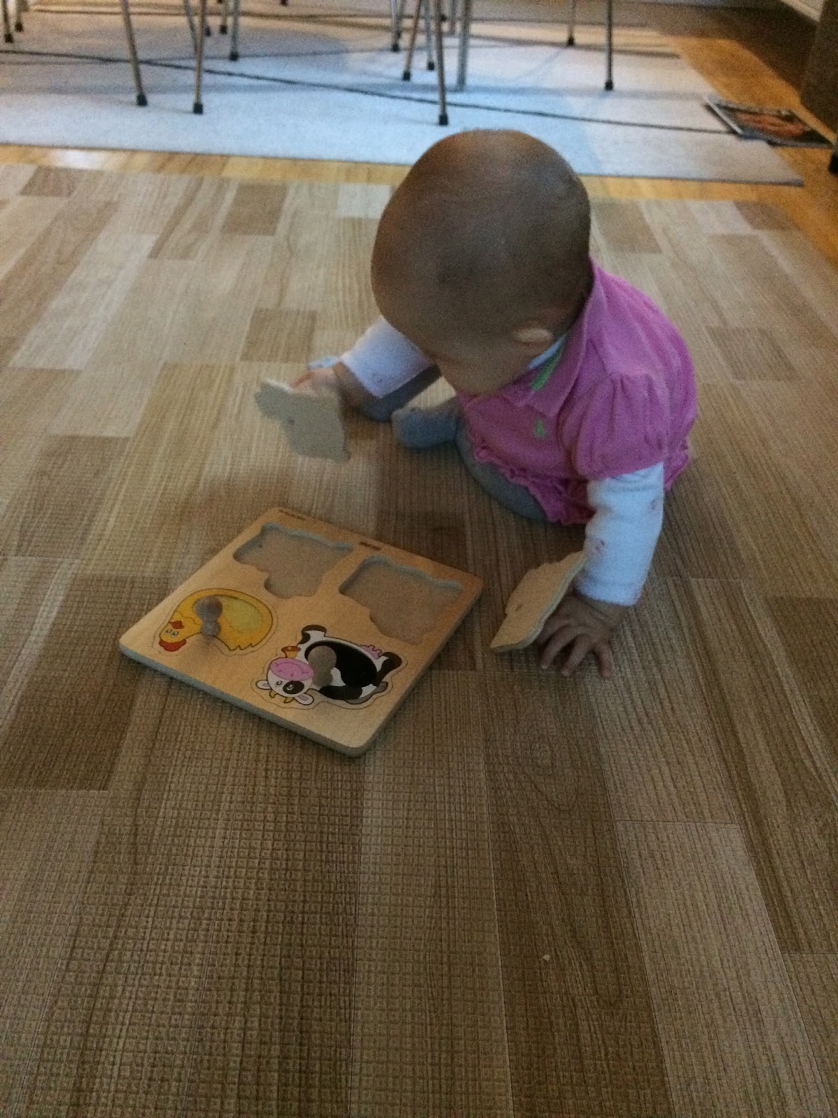 Family FECS: Toy of the Day: Touch-&-Feel Baby Jigsaw Puzzle (6M26D)