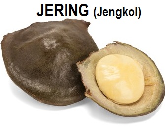 Anim Agro Technology: JERING DAN KEGUNAANNYA