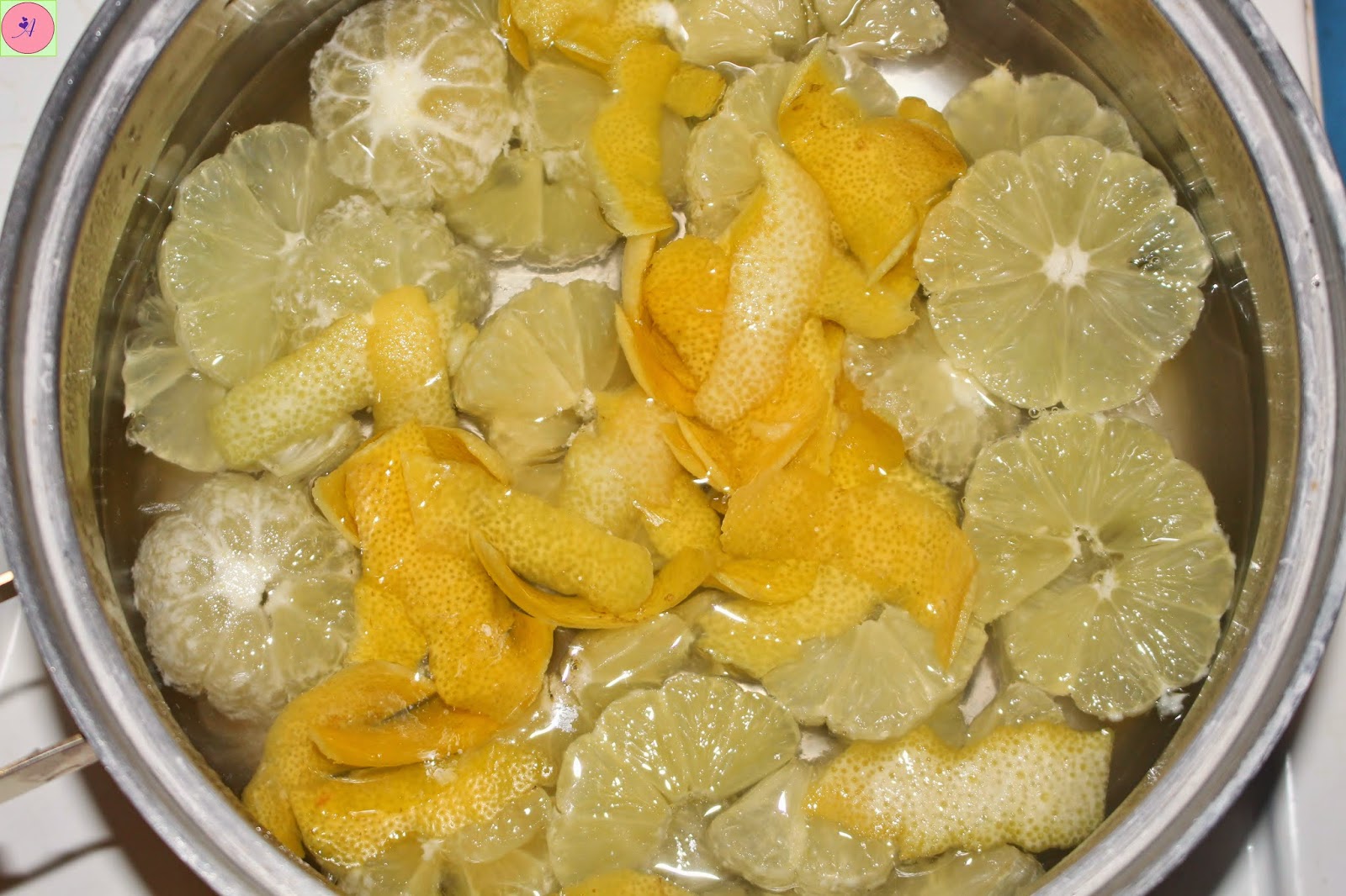 Le Boudoir de la Belle au Bois Dormant: Citronnade Tunisienne