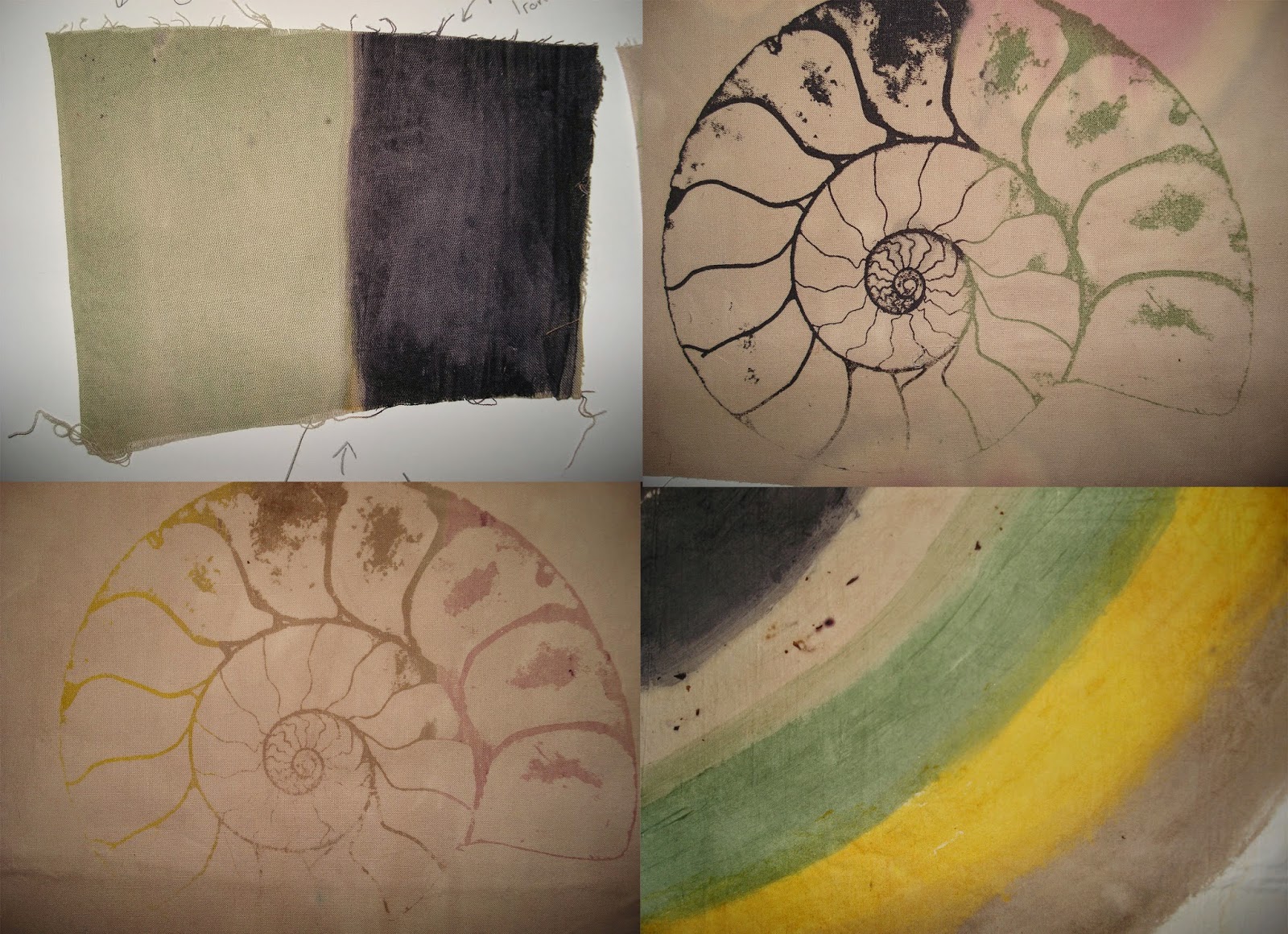 Fashioned by Nature: Natural Dye and Print