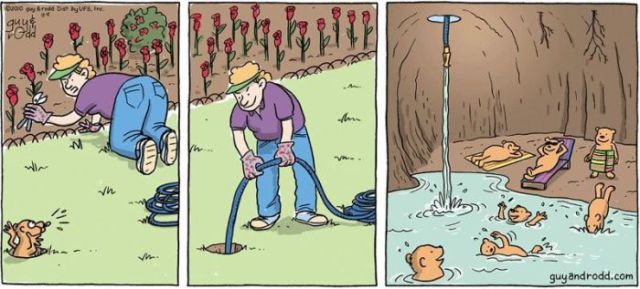 Most Funny Pictures,Weird,Bizarre,Strange Stuff: 7 Crazy And Funny ...