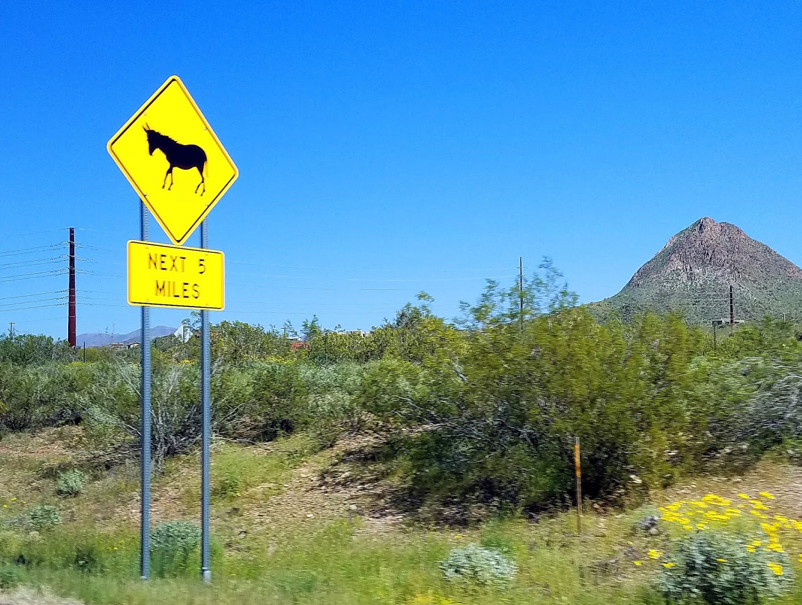 On the Light Side: Wild West Warning Signs
