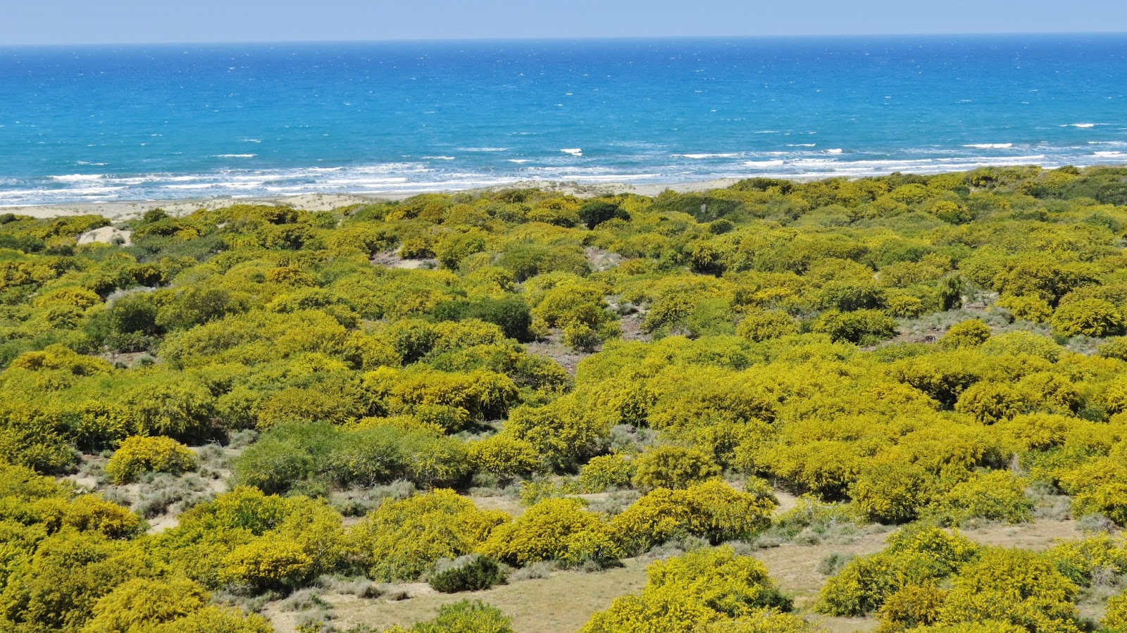 Biodiversity of Cyprus by NGO Protection of the Natural Heritage and ...