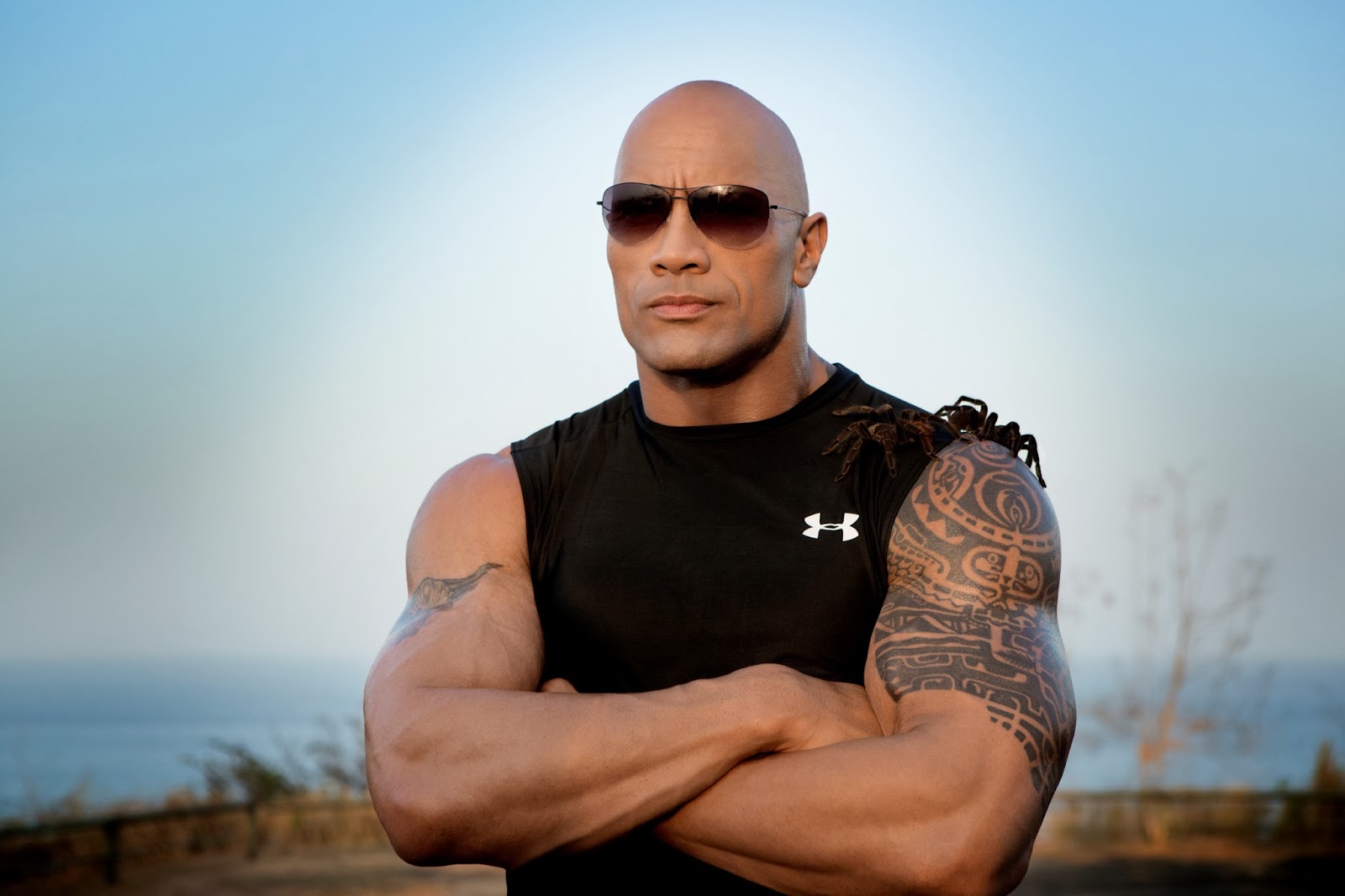 Tonan111: Dwayne Johnson The Hero?