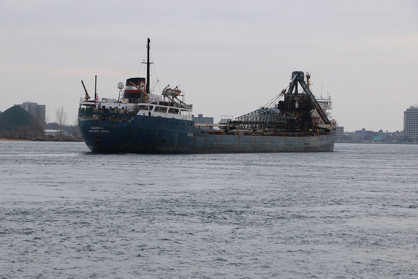 Michigan Exposures: And the Algorail