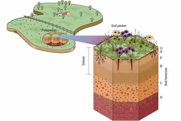 Land Resource Management: Introduction to Soil (SST 5201)