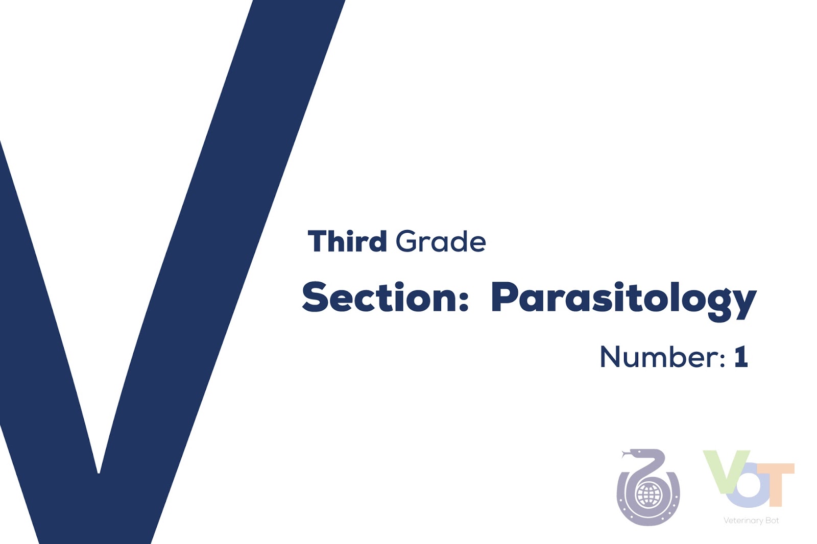 Parasitology (1st Section) "Drawing" ~ Damanhour Veterinary Medicine