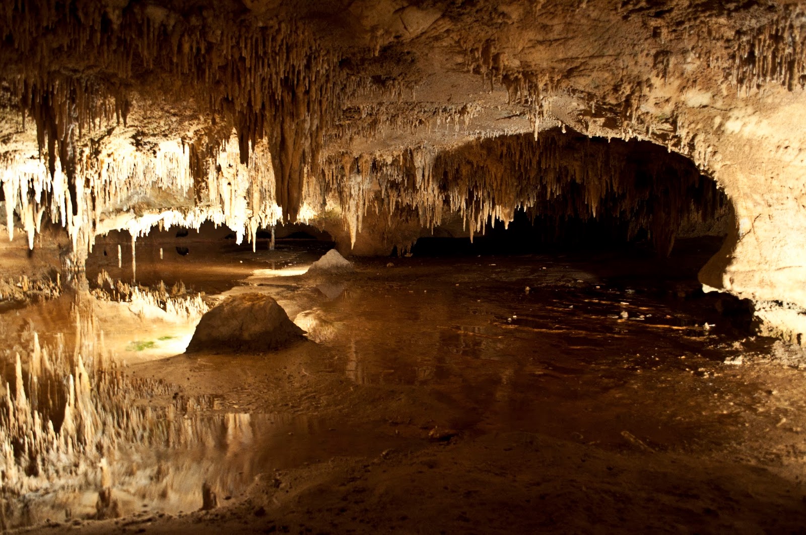 Thirsty World: Set in Stone