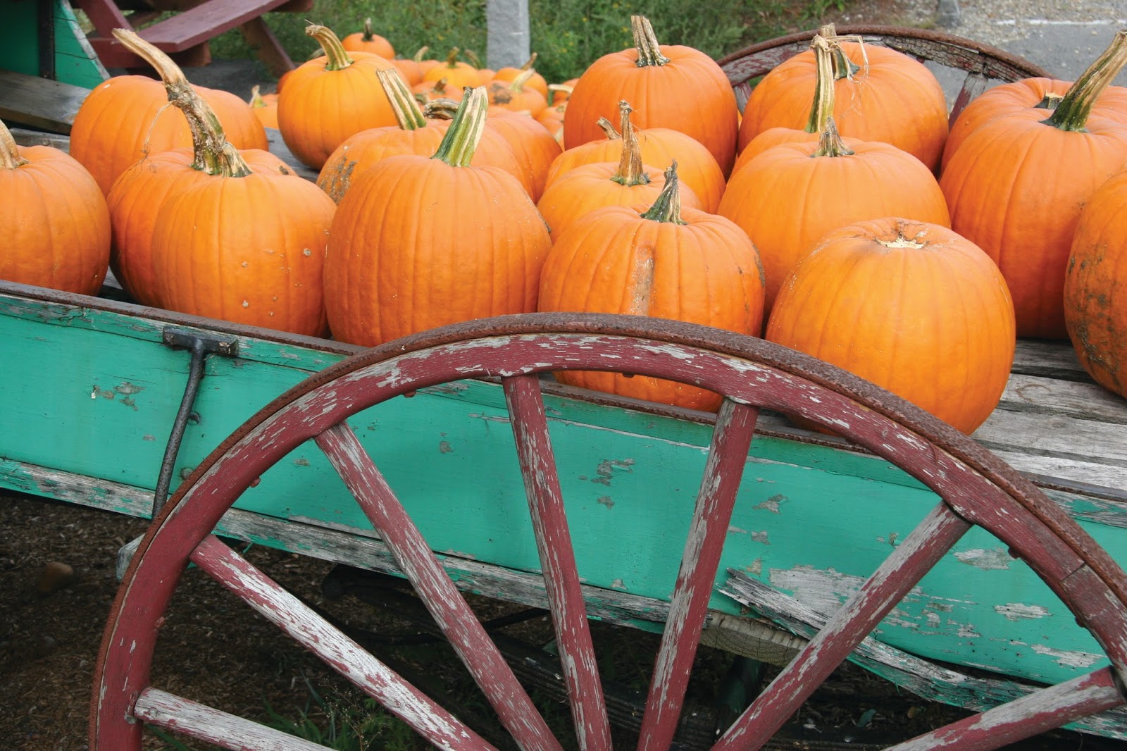 Cooperative Living Magazine: 2015 VIRGINIA FALL FAIRS & FESTIVALS GUIDE