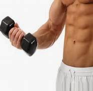 Visual Impact Muscle Building Program - Scam Or Not?