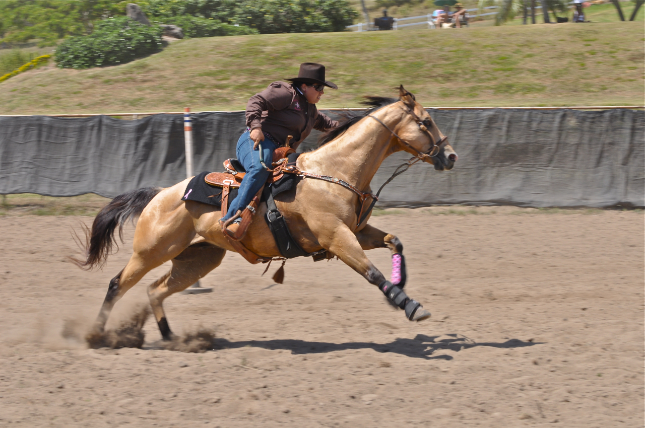 The Dragon's Eye: All Girl Rodeo at the Kualoa Ranch Ohana Country Fair