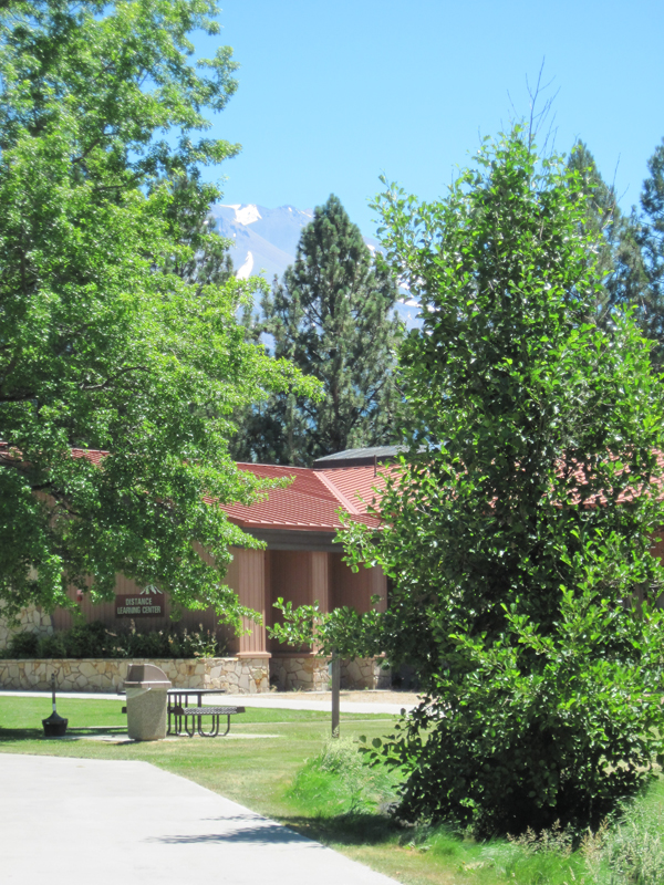 Mitt campus | Att bo i USA