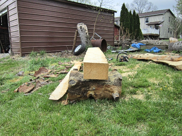 Feed Yourself During Hard Times: Cutting Timbers