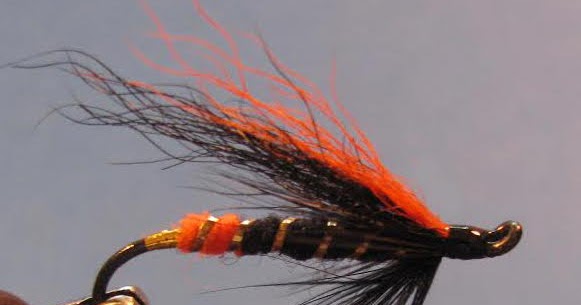 Fly Fishing with Doug Stewart: Story Behind the Dark Max Canyon ...