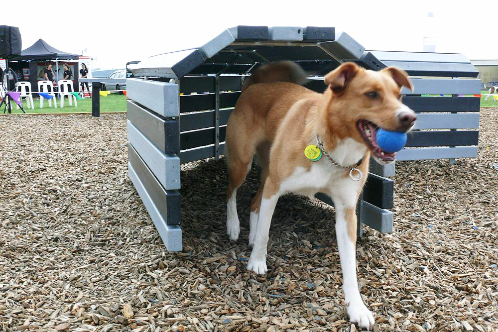 Mars Petcare signs agreement with REDcycle | Australian Dog Lover