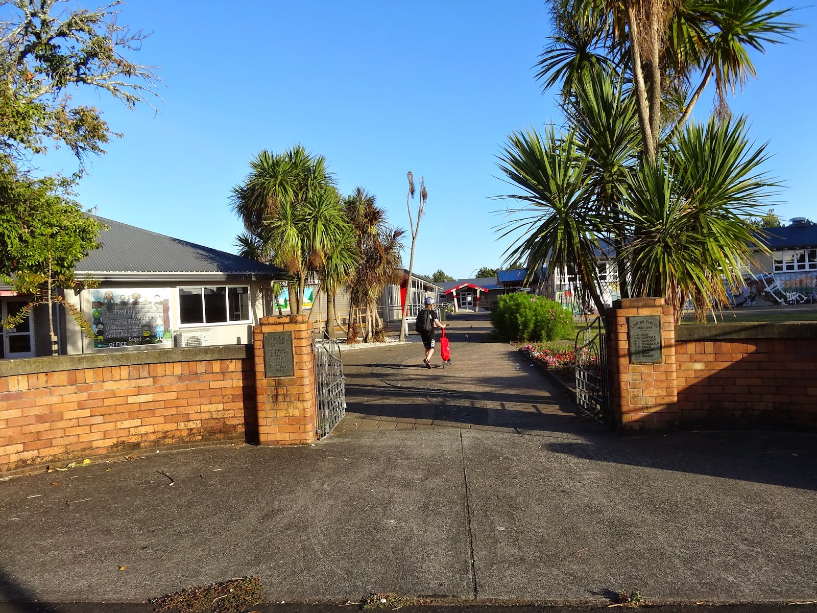 A World of a Million Colors: New Zealand Schools