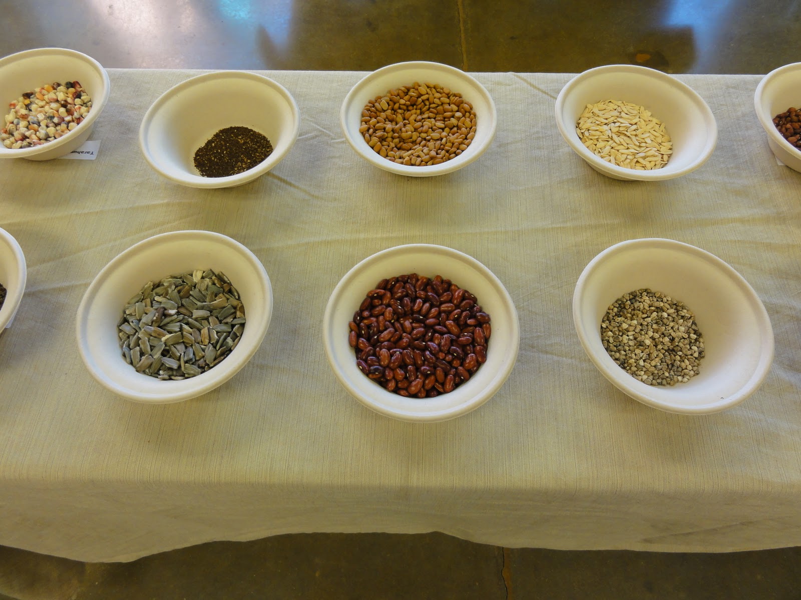 Valley View Farms: Saving Seed