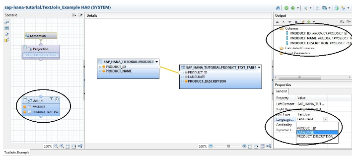 SAP Certification Class: Text Tables