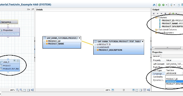 SAP Certification Class: Text Tables