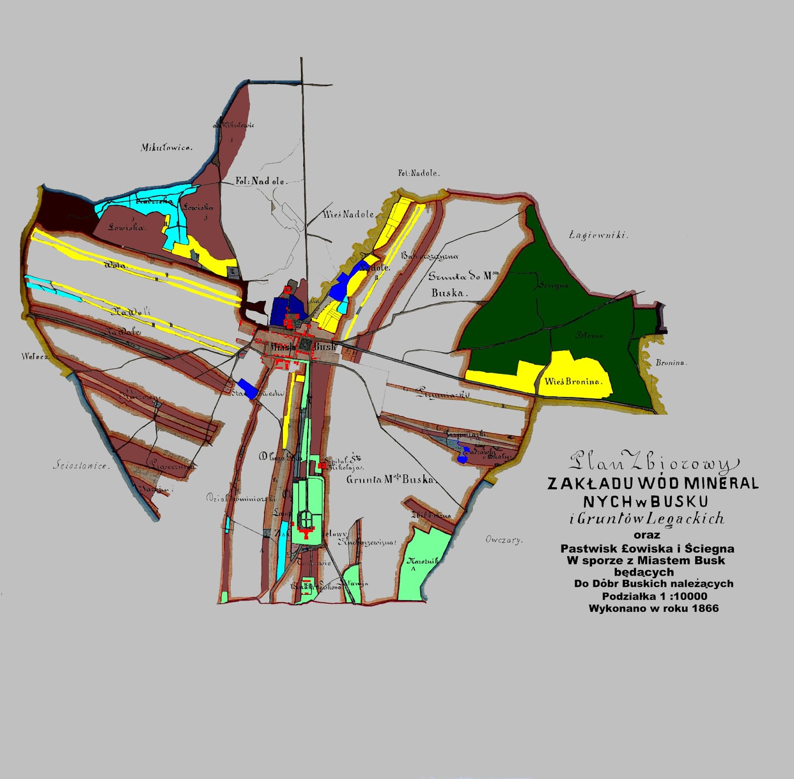 Wirtualne Muzeum Buska-Zdroju: Mapa Buska z 1866 roku