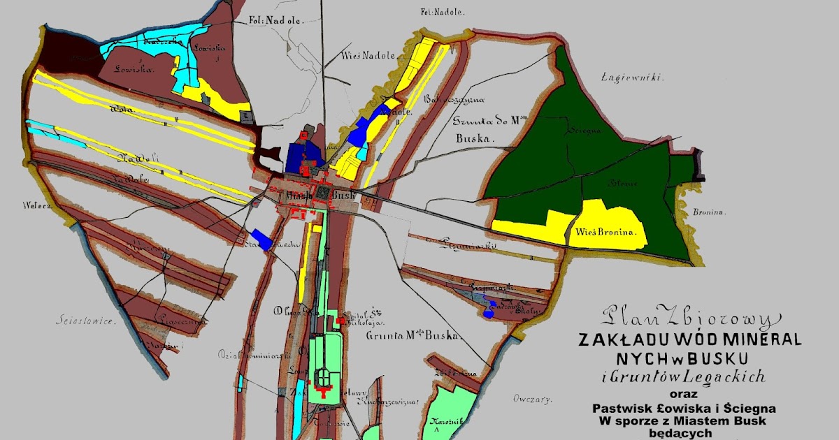 Wirtualne Muzeum Buska-Zdroju: Mapa Buska z 1866 roku
