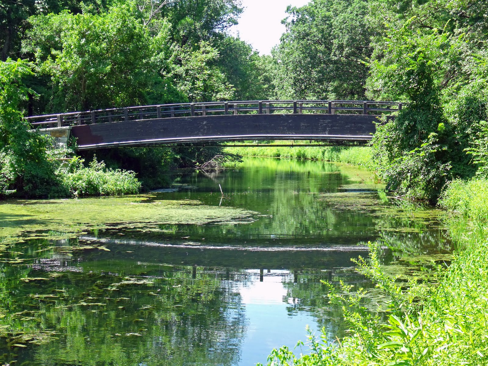 The Irreverent Psychologist: The View From Here: Mine Falls Park