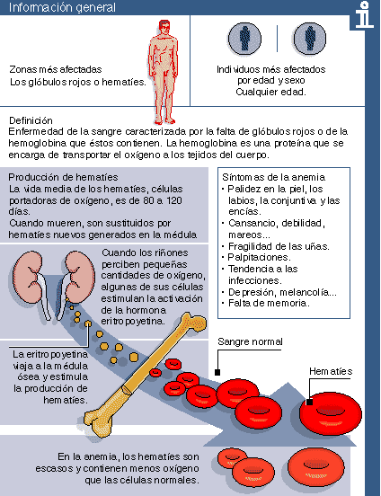 DR. JOSE TOALA MOSQUERA MD.: Anemia