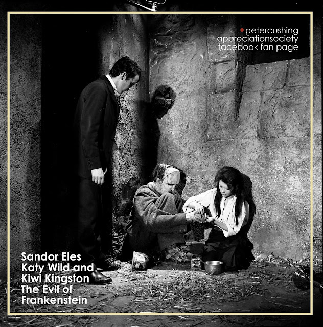 PETERCUSHINGBLOG.BLOGSPOT.COM (PCASUK): REMEMBERING SANDOR ELES : BORN ...