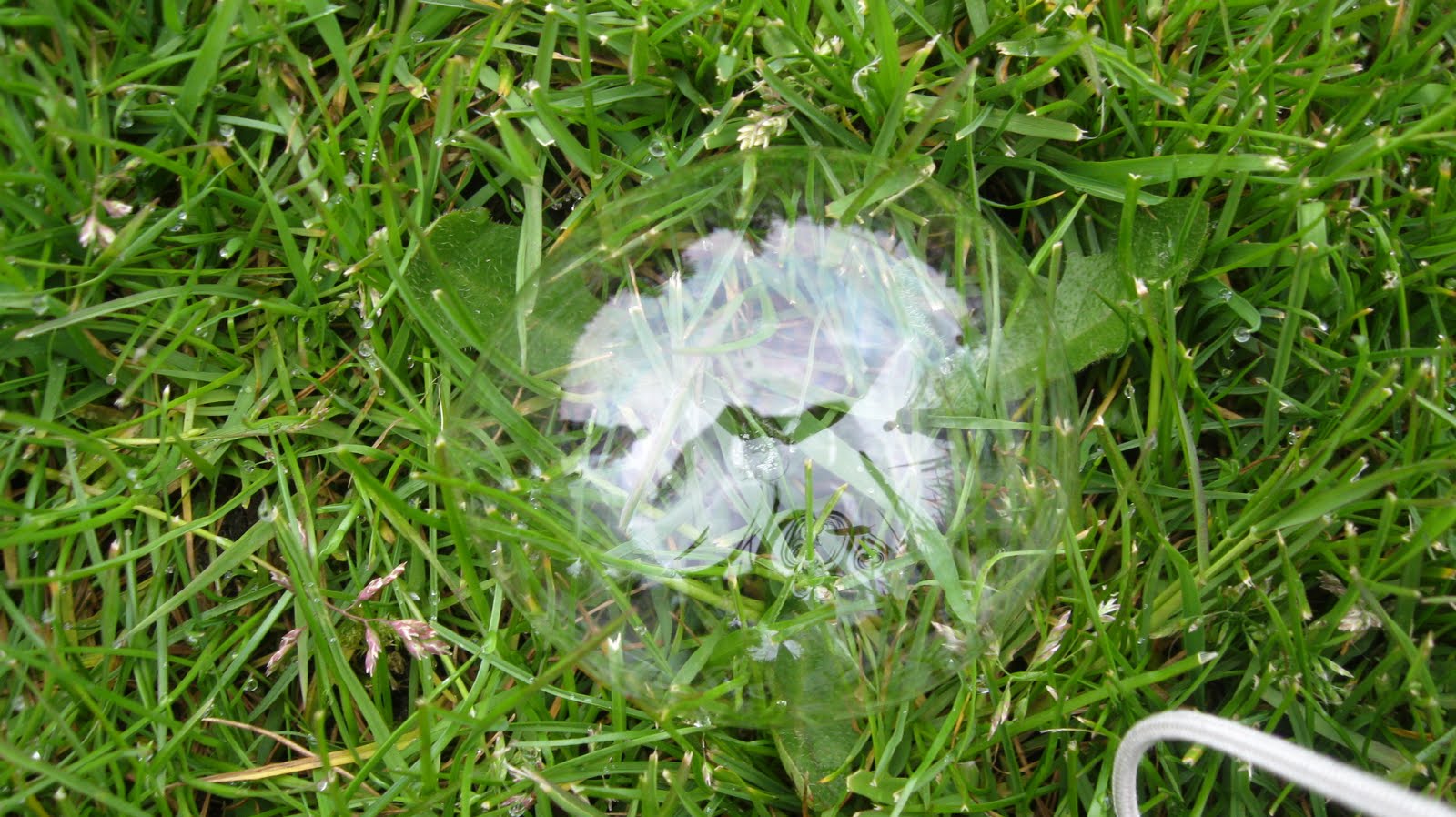 Johnny's Photography: Forced Perspective / Miniatures / Bubbles