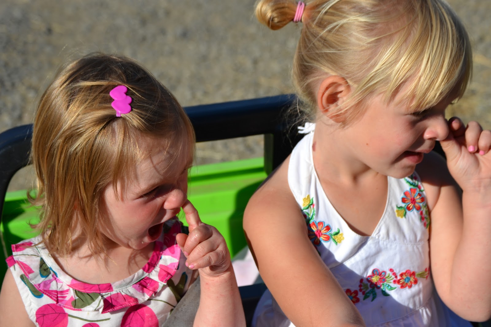 Little Ladies and Lambs: Role Model....Marsha Marsha Marsha!!