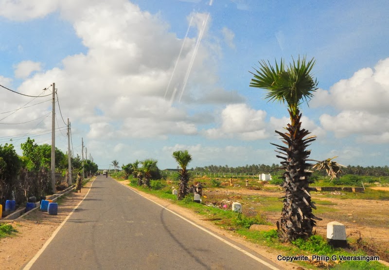 philipveerasingam: The road to the 'Casuarina Beach' from Jaffna town ...