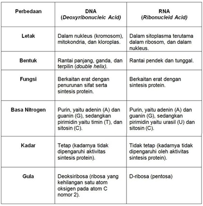 BIOLOGI TOPI BIRU: SUBSTANSI GENETIKA