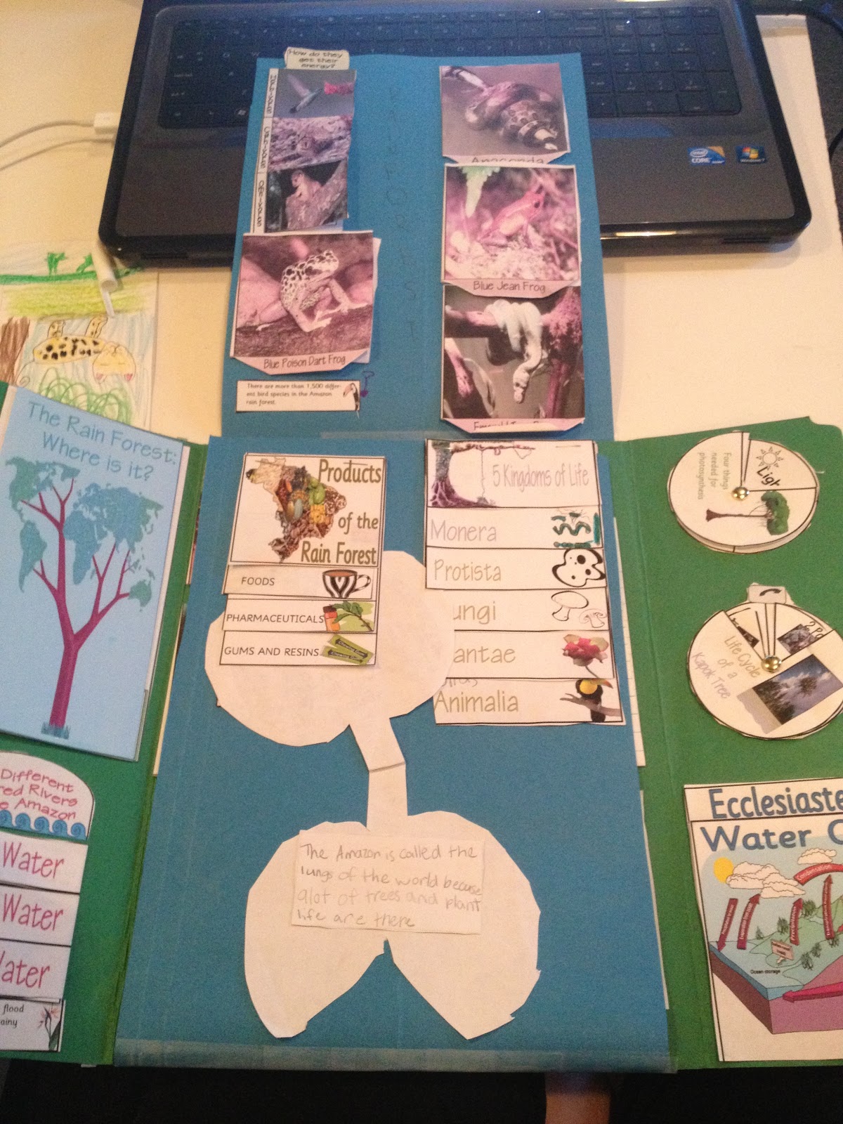 Learning In Grace: Rainforest Lapbook-Unit Study 5th Grade
