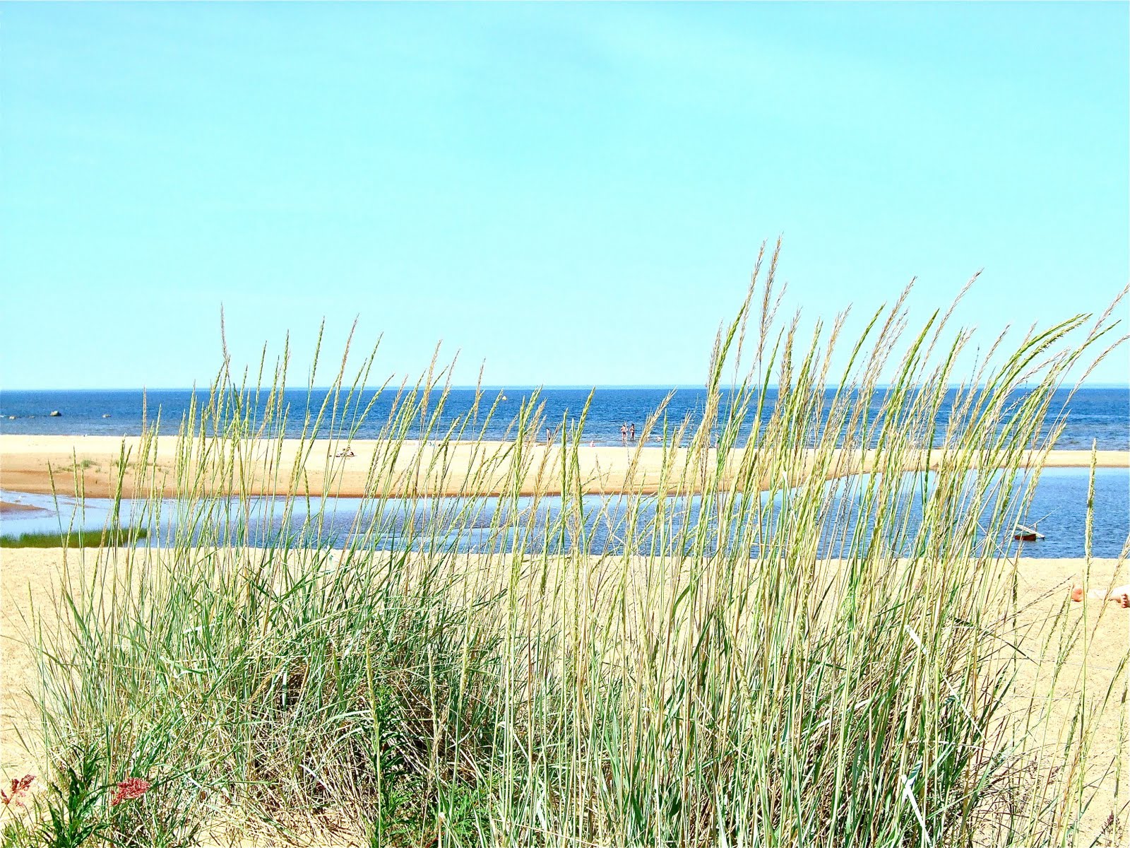angenämt: EN DAG PÅ STRANDEN