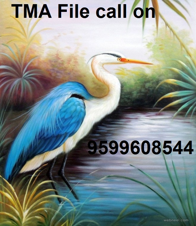 Solved assignment 10th and 12th class: Appreciate the "Falcon on a Bird ...