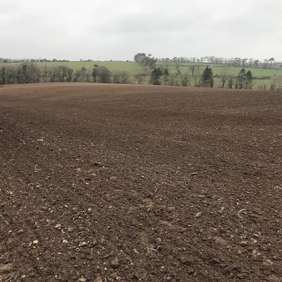 Soil Tilth and Characteristics of good soil tilth - AgriCreed
