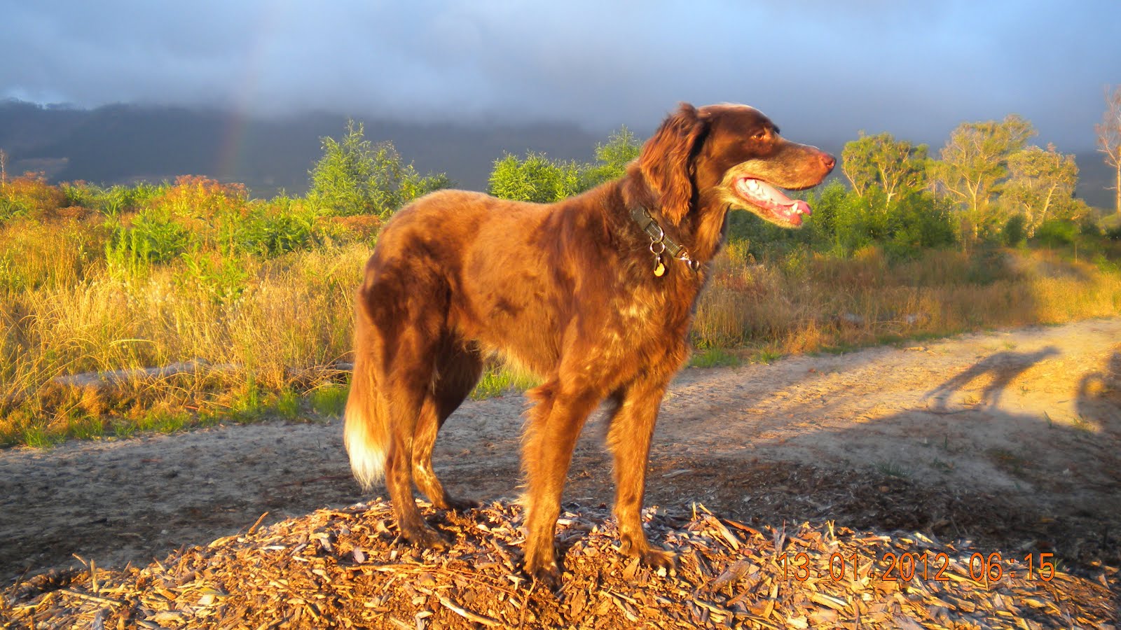 Brunoswalks/caminatas: DARG-Course in Hout Bay
