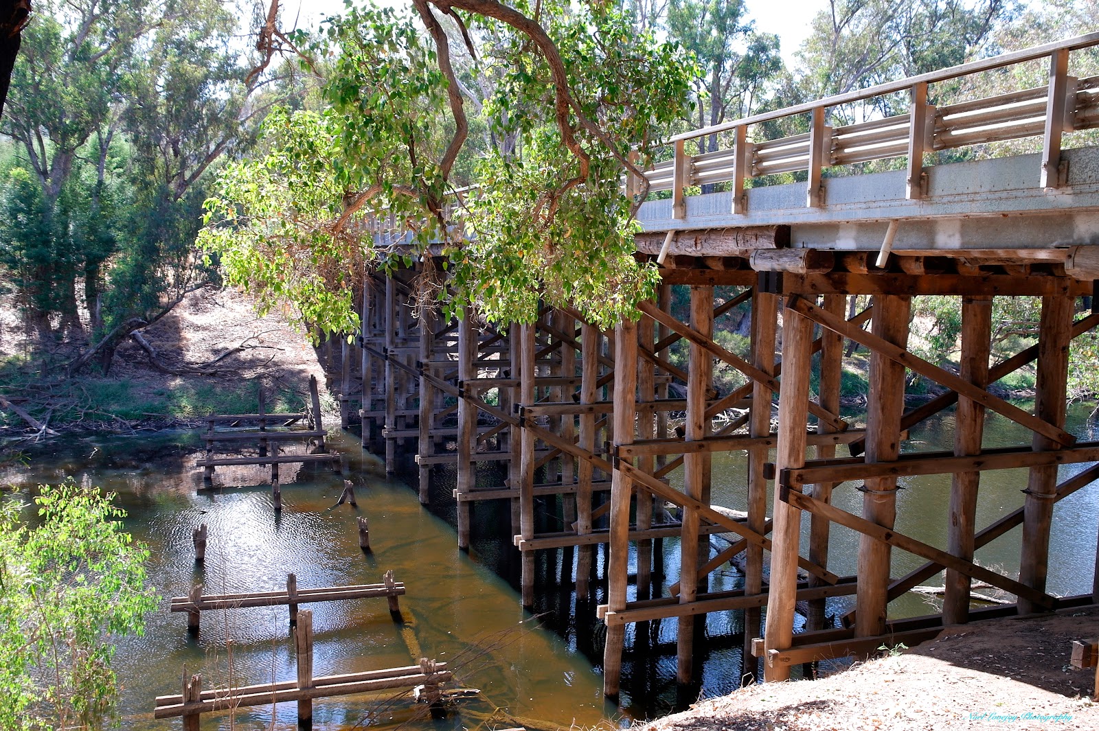 Can Go Around Australia: Nannup and Wrights Bridge NP, WA.