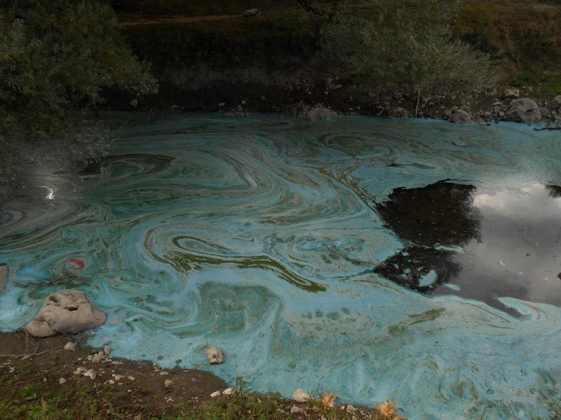 CORRIERE MATESE: GROSSA MACCHIA RISCONTRATA NEL FIUME LETE PRESSO LETINO