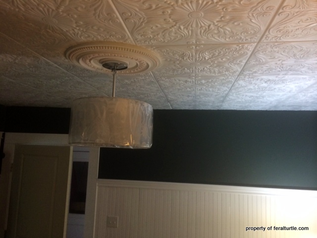 The Feral Turtle: Ceiling Tiles Are In!! Canada Ceiling Tiles Gets a Big F!