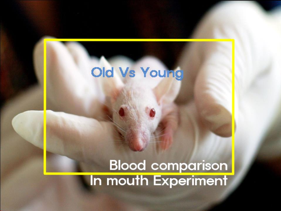 naturehealus: Blood research with mouse experiment. What is the ...