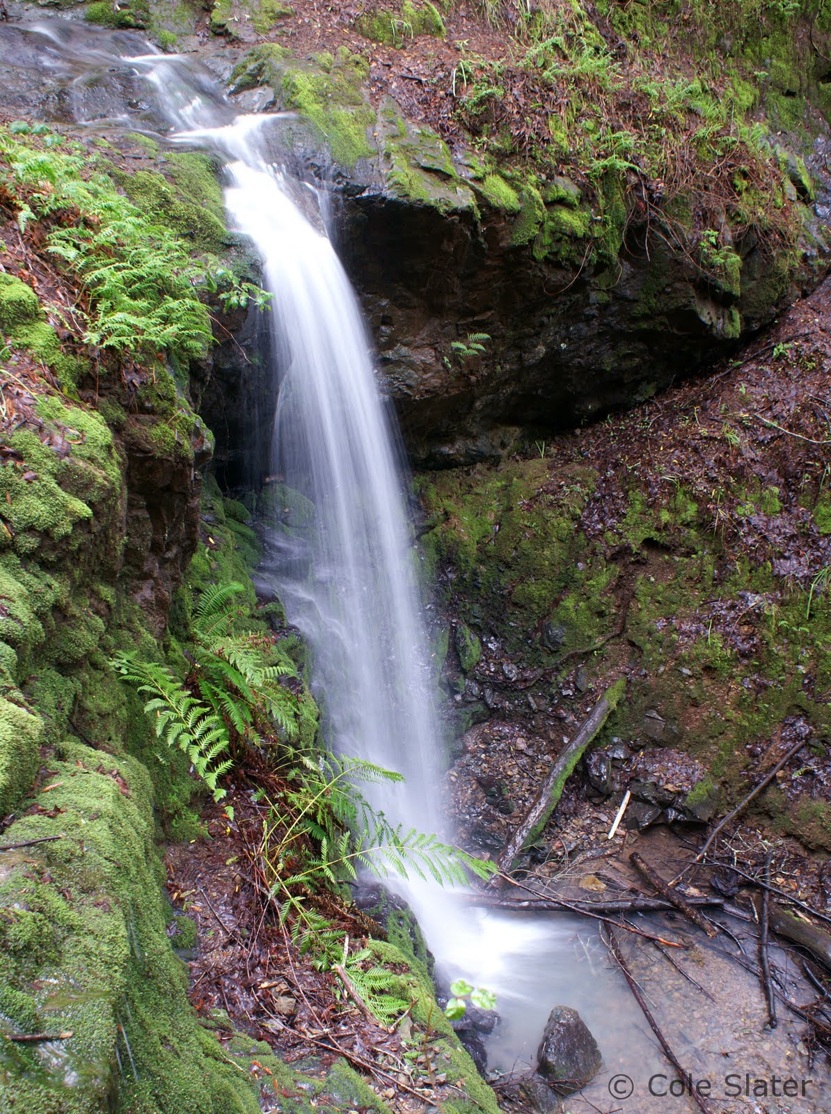 Cole's Trail Tales: Marin Waterfalls Hike - Dawn Falls - 3/22/11
